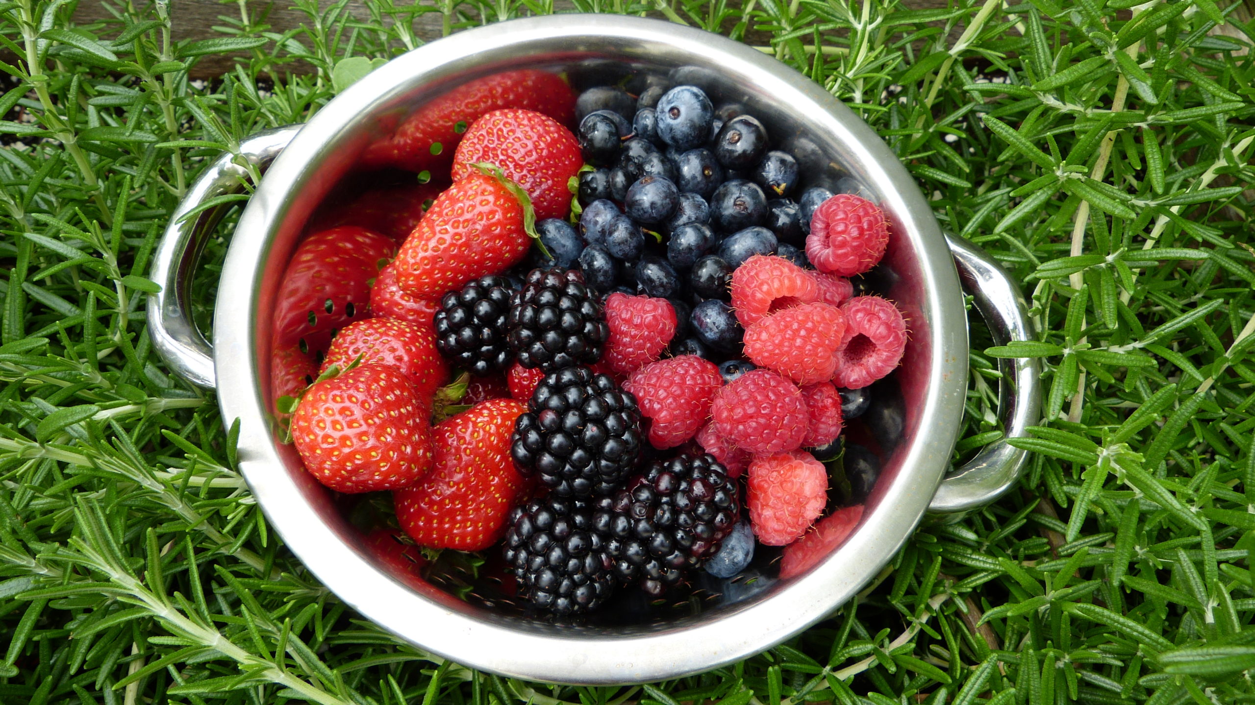 Perennial Profile: Perennial Fruit and Vegetables - Belgian Nursery